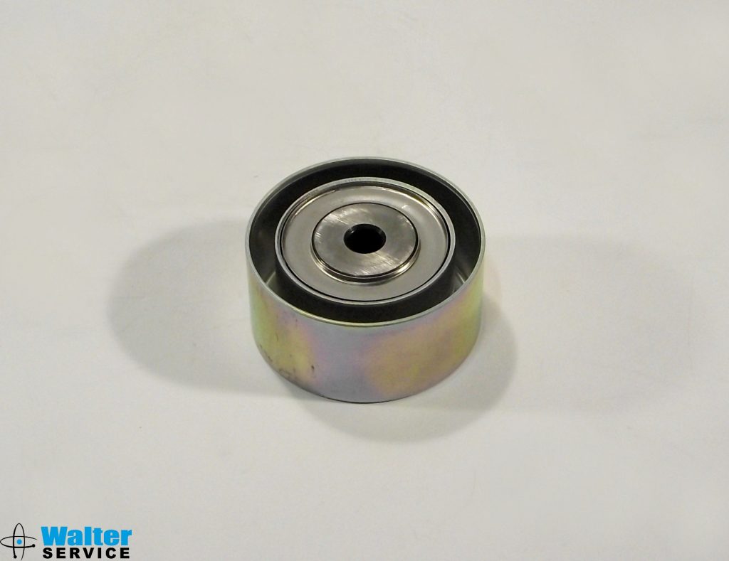 A4722020219 Rullo di rinvio Evobus - Walter Service